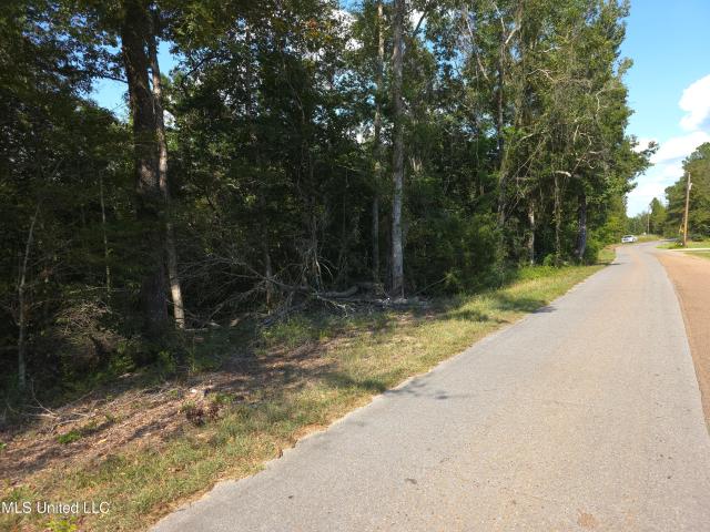 Cub Brown Road, Sontag, MS 39665