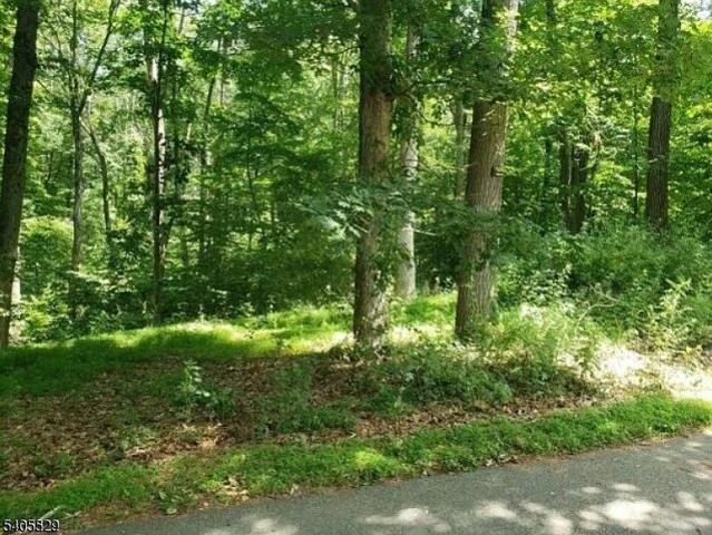 Cub Lake Rd, Byram Township, Plot For Sale