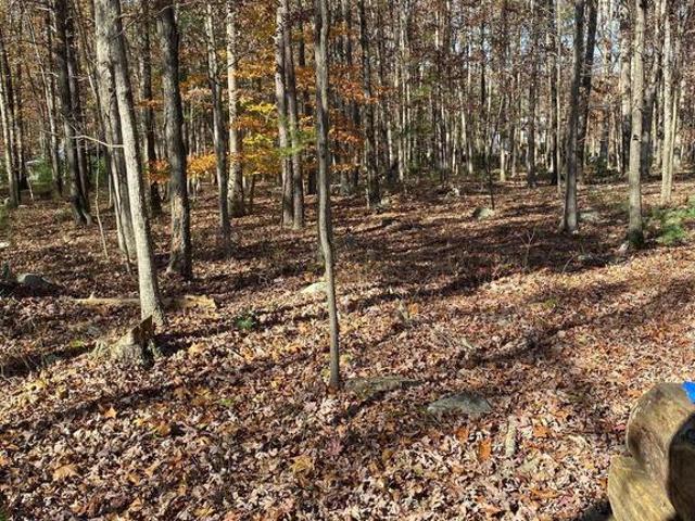 Cub Road Lot 3