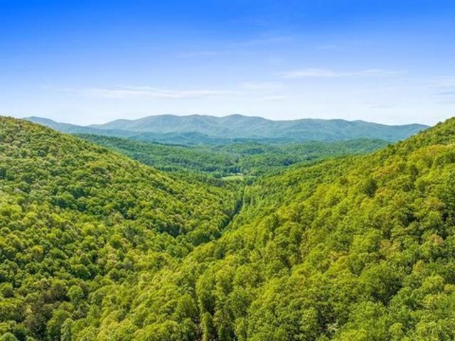 Cub Trl Lot 18, Cherry Log, GA 30522