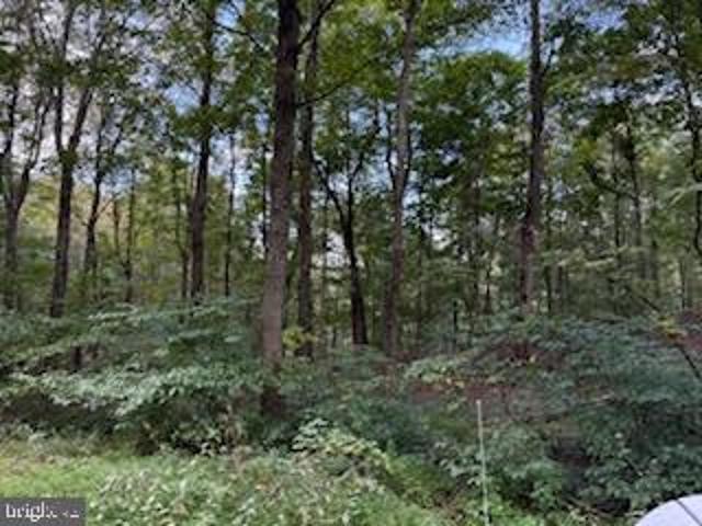 Cubby Hole Lane Lot 25