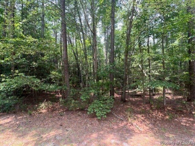 Cubitt Creek Rd, Heathsville, Plot For Sale