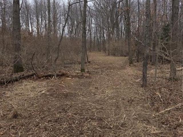 Cullen, Hartland Township, MI 48430
