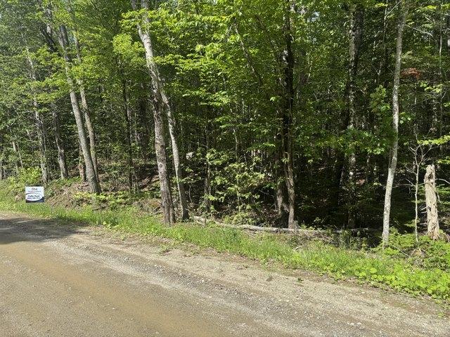 Curtis Farm Rd Lot 7, Lincoln, ME 04457