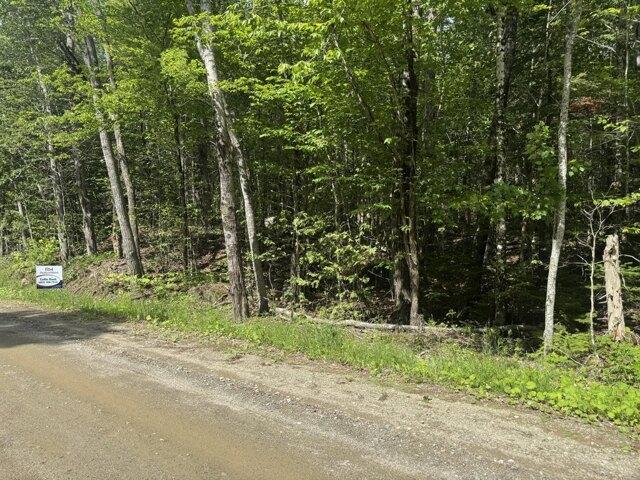 Curtis Farm Rd Lot,lincoln, Plot For Sale