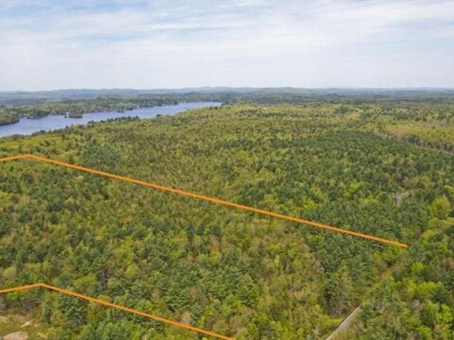 Curtis Hall Rd, Blandford, Plot For Sale