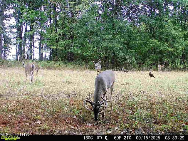 Curtis Road, Batesville, MS 38606