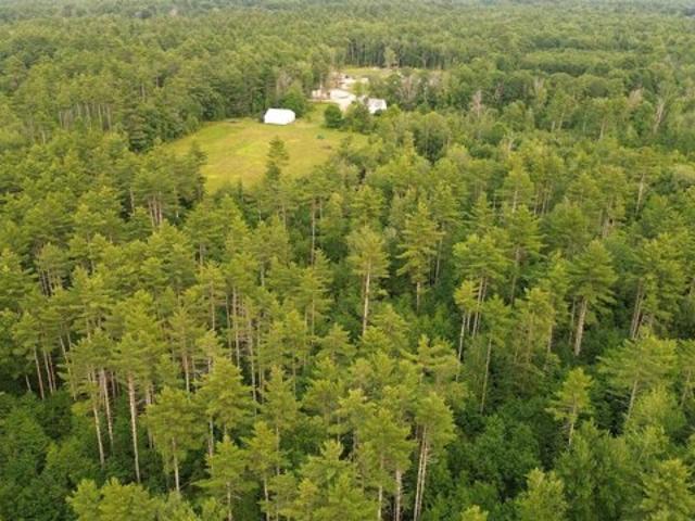 Curtis Rd, Farmington, Home For Sale