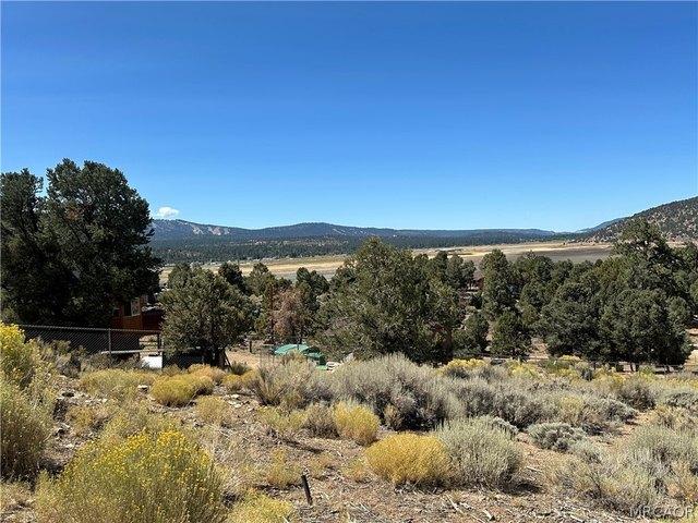Curvate Dr, Big Bear City, CA 92314