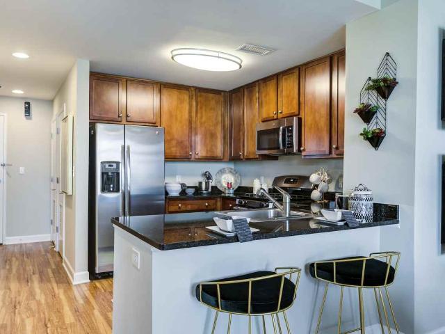 Curve 6100 2 Bedroom Apartment for Rent at 6100 Lincolnia Rd, Alexandria, VA 22312