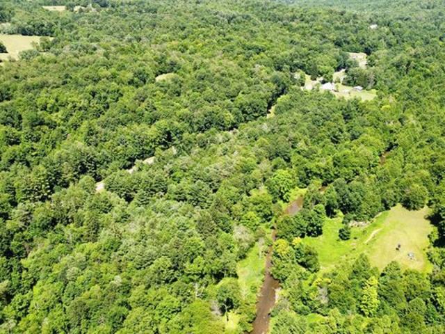 Curwensville Tyrone Hwy, Olanta, PA 16863
