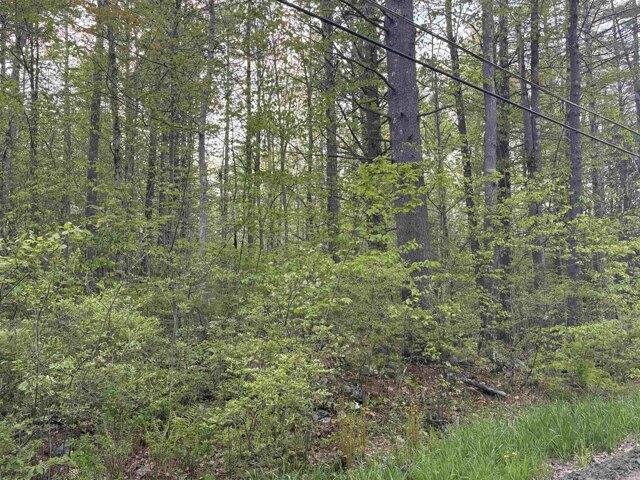 Currier Rd Lot,candia, Plot For Sale