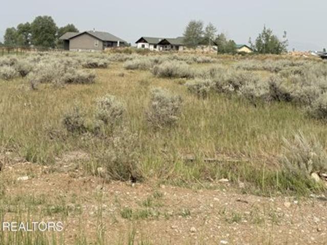 Custer Dr Lot 104, Star Valley Ranch, WY 83127