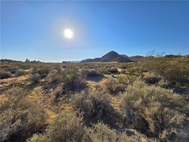 Custer, Lucerne Valley, CA 92356