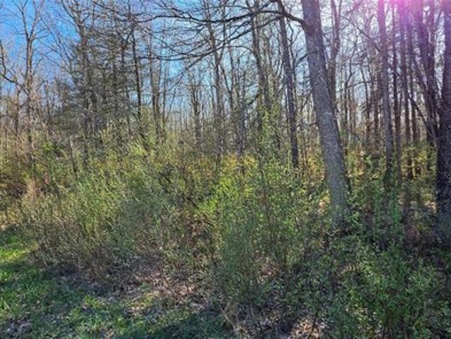 Cushetunk Dr Lot 70, Cochecton, NY 12726