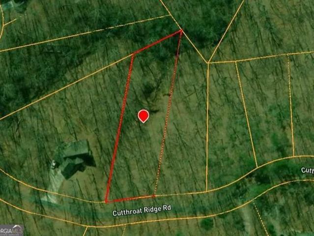 Cutthroat Rdg, Jasper, GA 30143