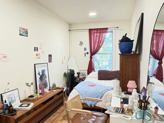 Cute, Quiet Furnished 1Br in Williamsburg