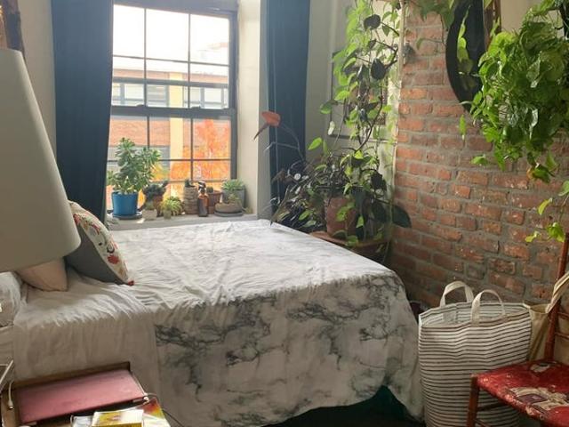 Cute Room On Bushwick Bedstuy Border