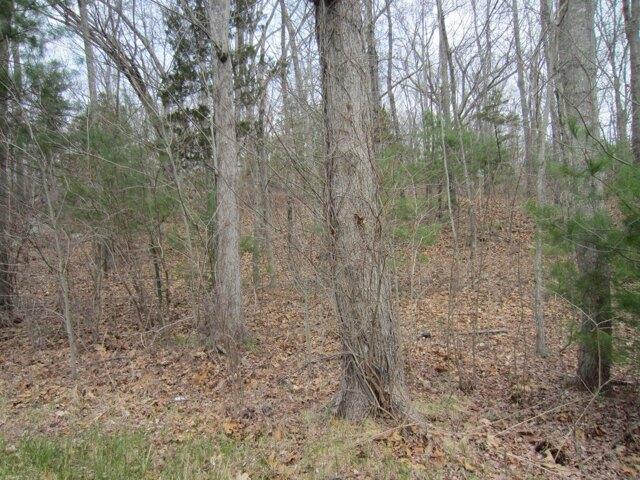 Cutler Rd, Killingly, Plot For Sale