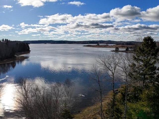Cutler Rd, Machiasport, Plot For Sale