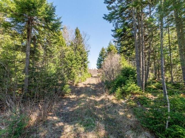 Cutler Rd, Machiasport, Plot For Sale