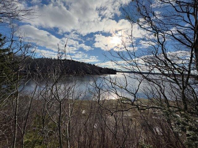 Cutler Rd, Machiasport, Plot For Sale