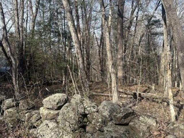 Cutler Rd, Warren, Plot For Sale