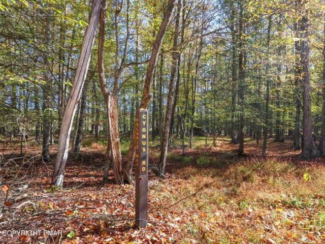 Cygnus Rd Lake, Ariel, PA 18436 | MLS #PM 136453