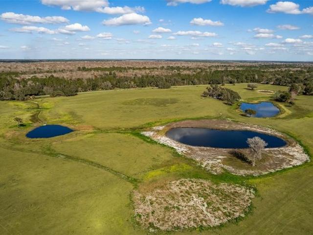 Cypress Mill Rd, Sorrento, FL 32776