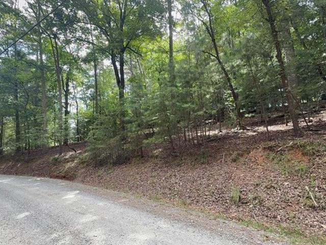 Cypress Cir Lot 679, Ellijay, GA 30540