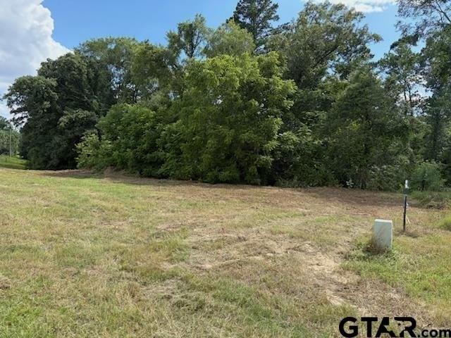 Cypress Creek Dr, Diana, TX 75640