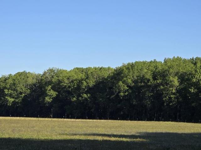 Cypress Lake Rd, Beebe, AR 72012