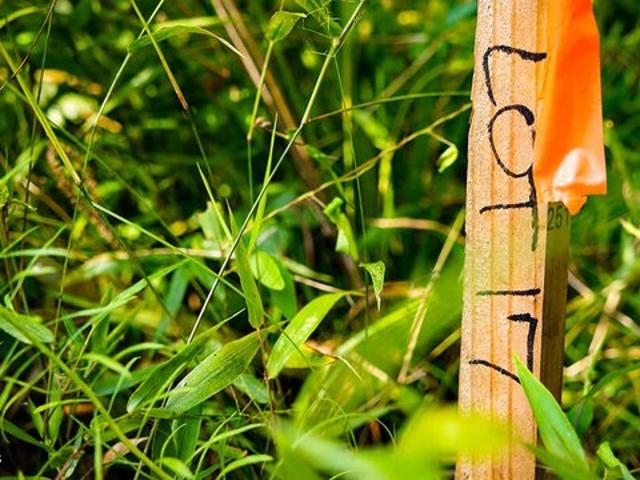 Cypress Pointe Dr Lot 17, Brooksville, MS 39739
