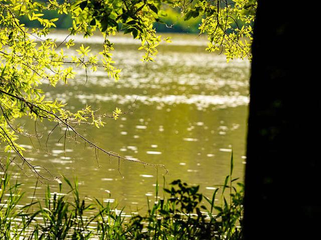 Cypress Pointe Drive, Lot 12, Brooksville, MS 39739