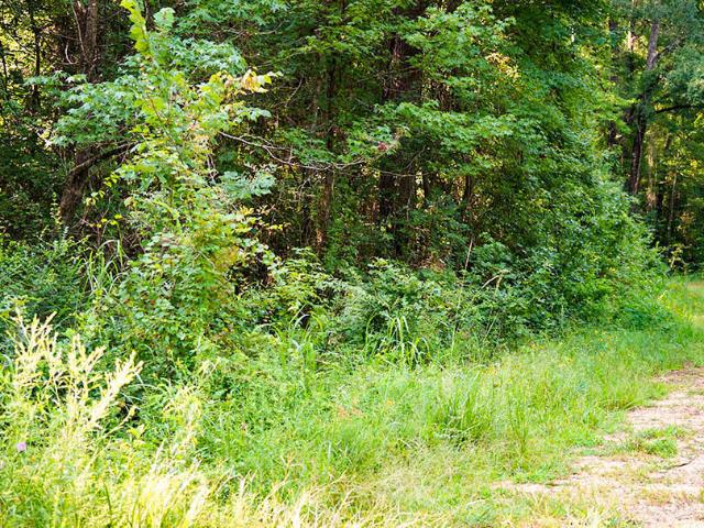 Cypress Pointe Drive, Lot 15, Brooksville, MS 39739