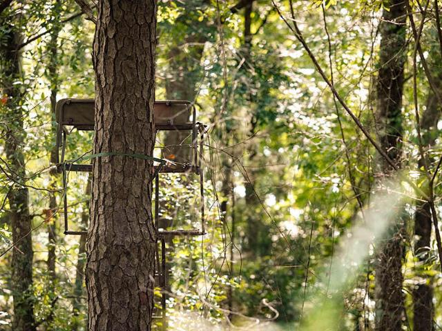 Cypress Pointe Drive, Lot 17, Brooksville, MS 39739