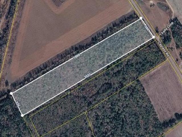 Cypress Rd, Bishopville, SC 29010