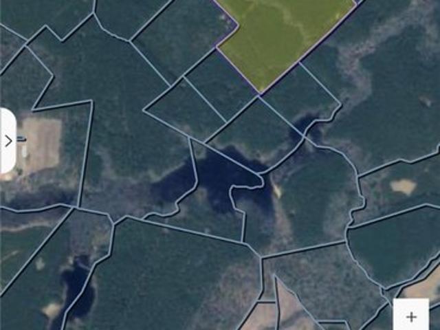 Cypress Swamp Ln, Spring Grove, VA 23881