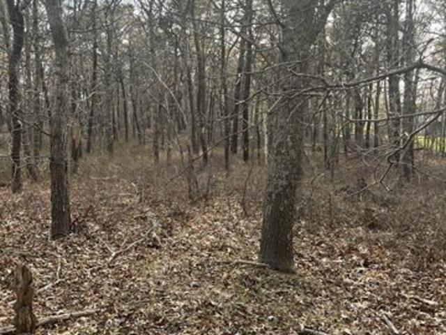 Cyprus Rd, Dennis, Plot For Sale