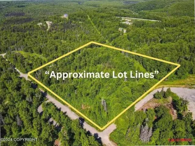 d006 WILLAS WAY, WILLOW, AK 99688 Vacant Land For Sale MLS# 2.