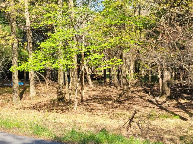 D2019 Penn Forest Trail