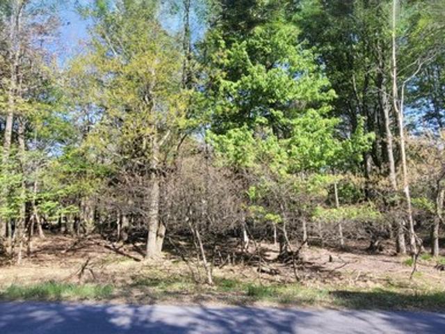 D2019 Penn Forest Trl, Albrightsville, PA 18210