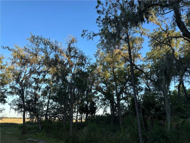 D Cassique Creek Dr, Ridgeland, SC 29936 | MLS #453624