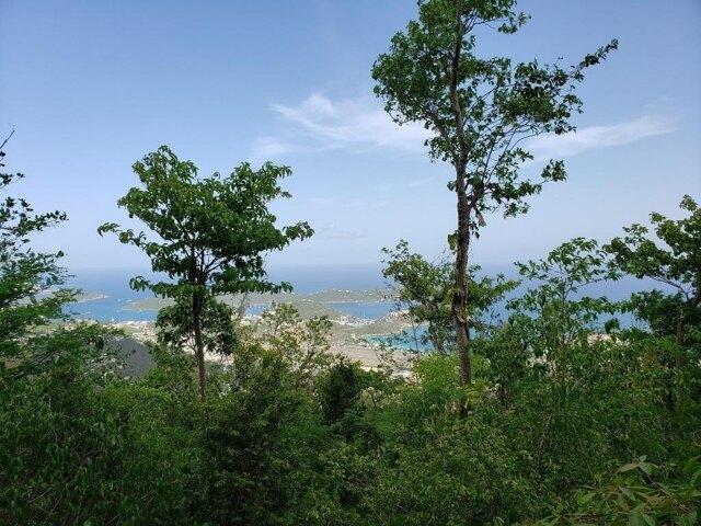 D Crown And Hawk Ss, Saint Thomas, Plot For Sale