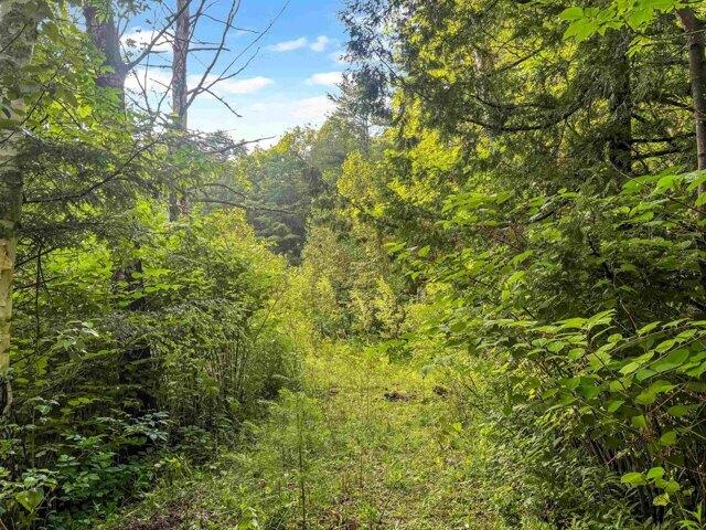 Dam Rd, Chittenden, Plot For Sale
