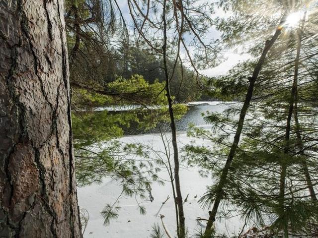 Dam Rd Lot 4, Three Lakes, WI 54562
