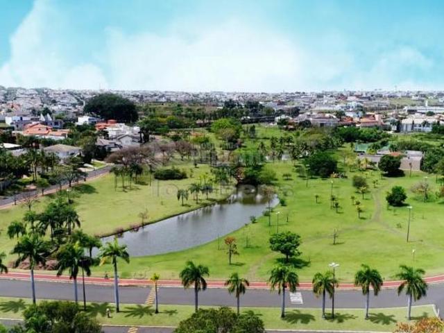 Damha I Excelente Topografia