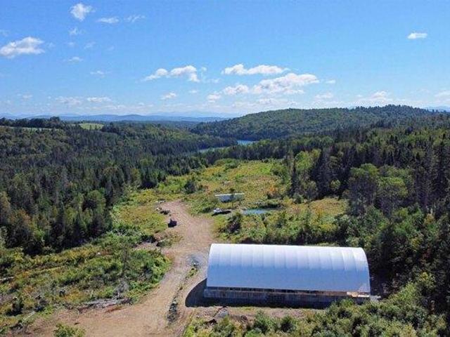 Danville VT 05873 LS103033437