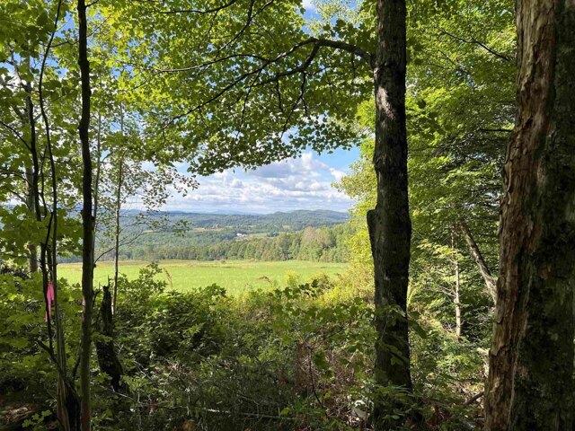 Danville Hill Rd, Cabot, Plot For Sale