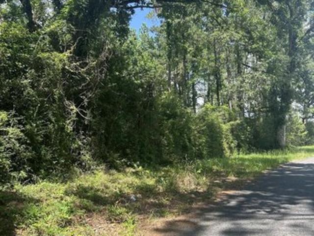 Danville Rd, Jonesboro, LA 71251